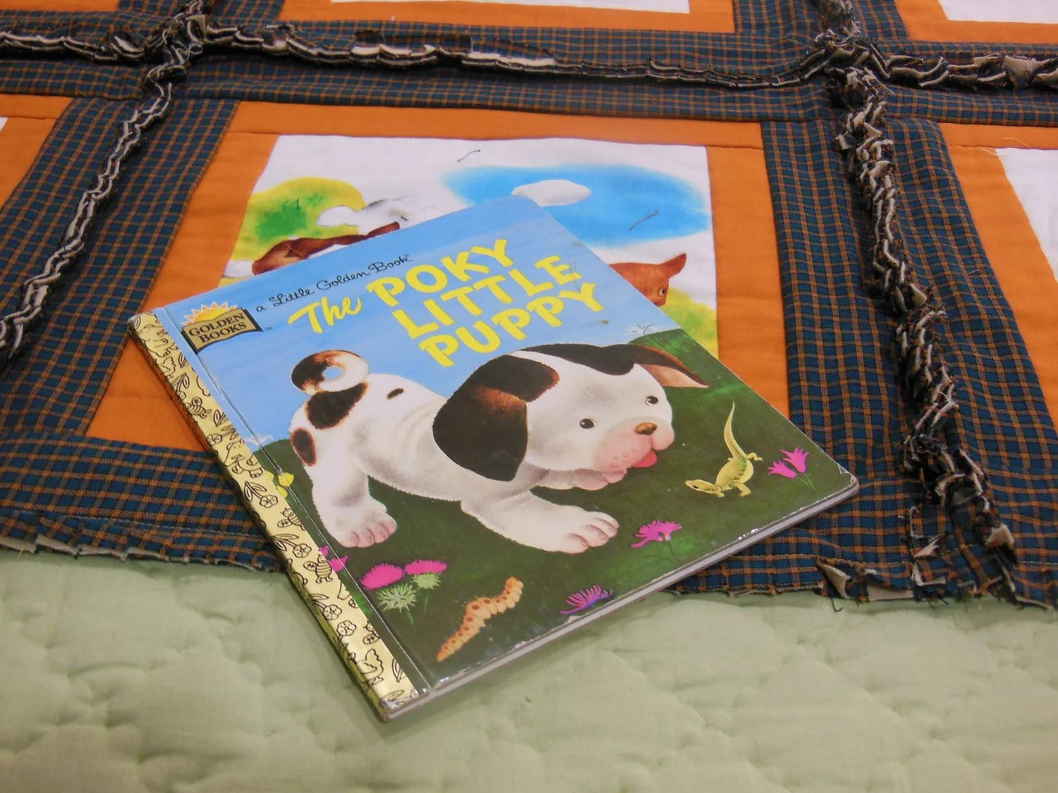 The Little Puppy Book