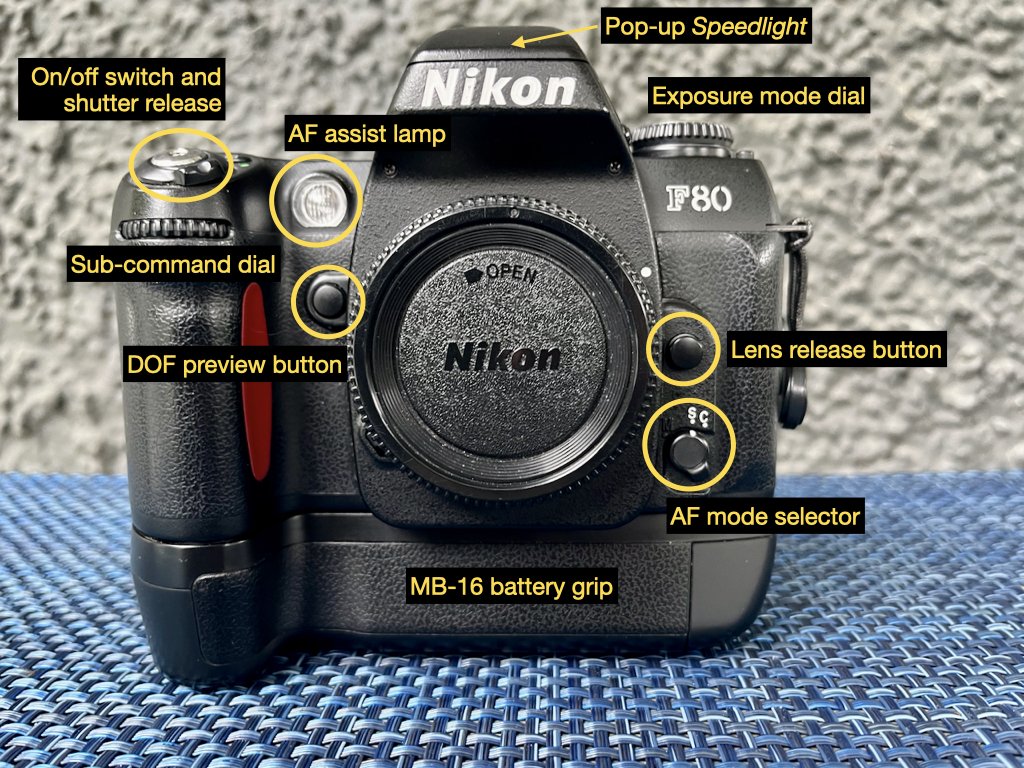 The Nikon F80/N80 in Review — Nathan Jones