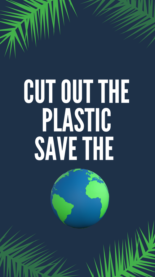 How To Ban Plastic From Your Life & Reduce Your Carbon Footprint ...