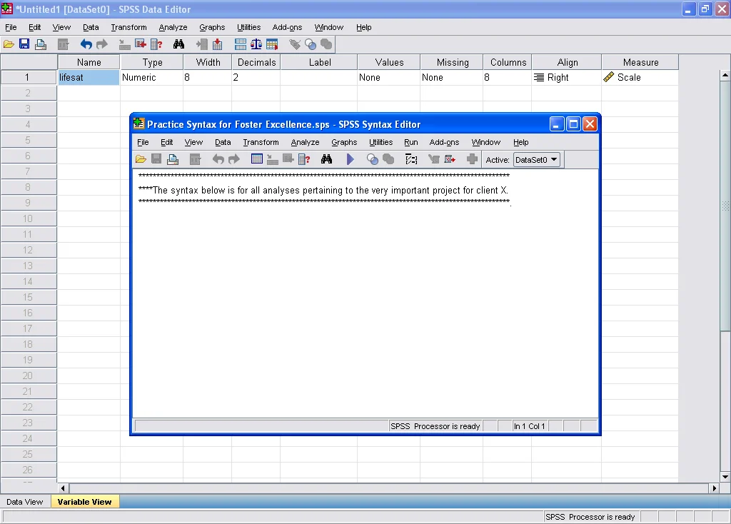 SPSS Syntax 101: Basic Guidelines, Variable and Value Labels — Ben ...