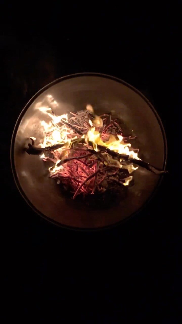 Home — Cinnamon Lee