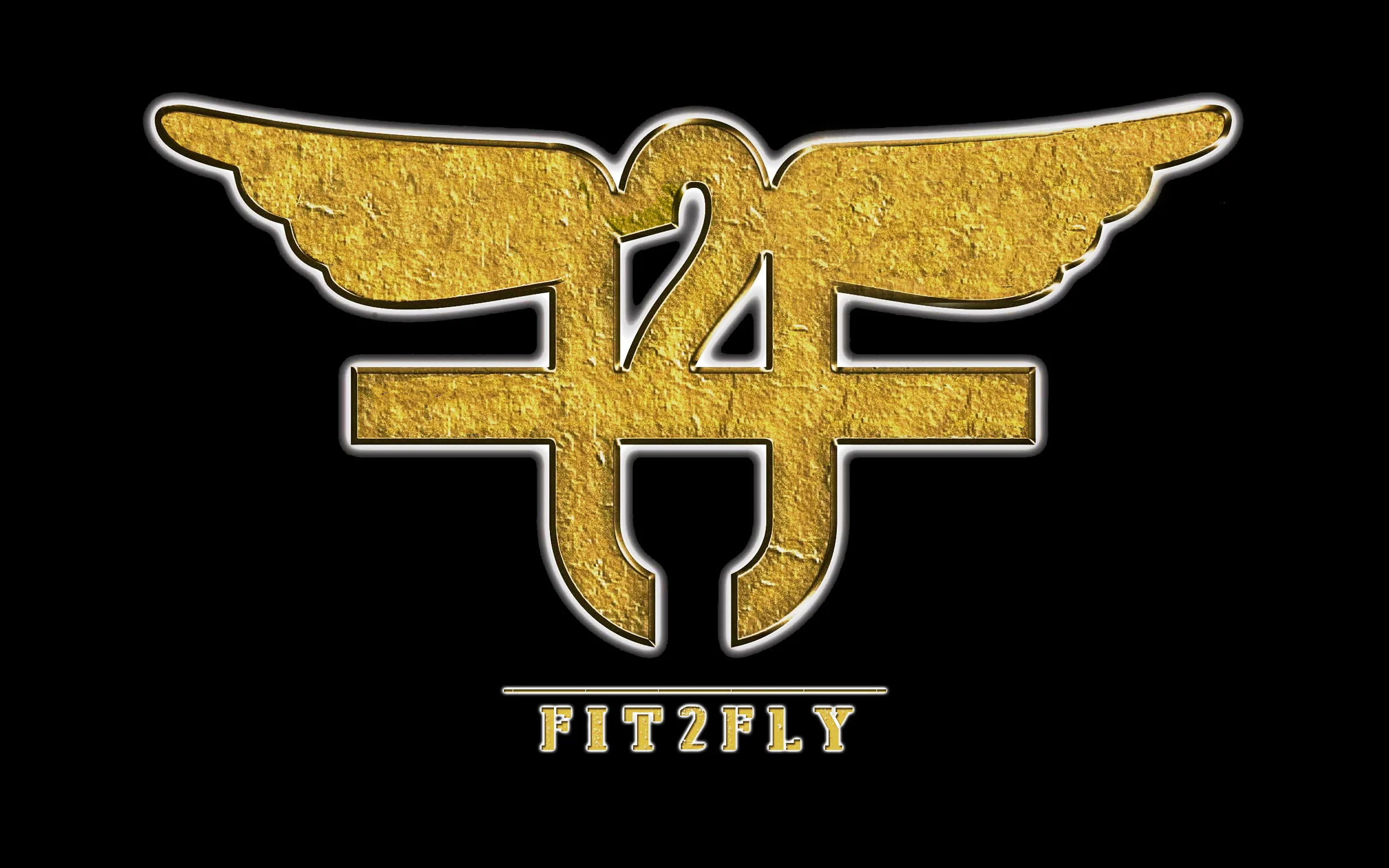 Mayank S. Review — Fit2fly | In-Home Personal Training | Los Angeles