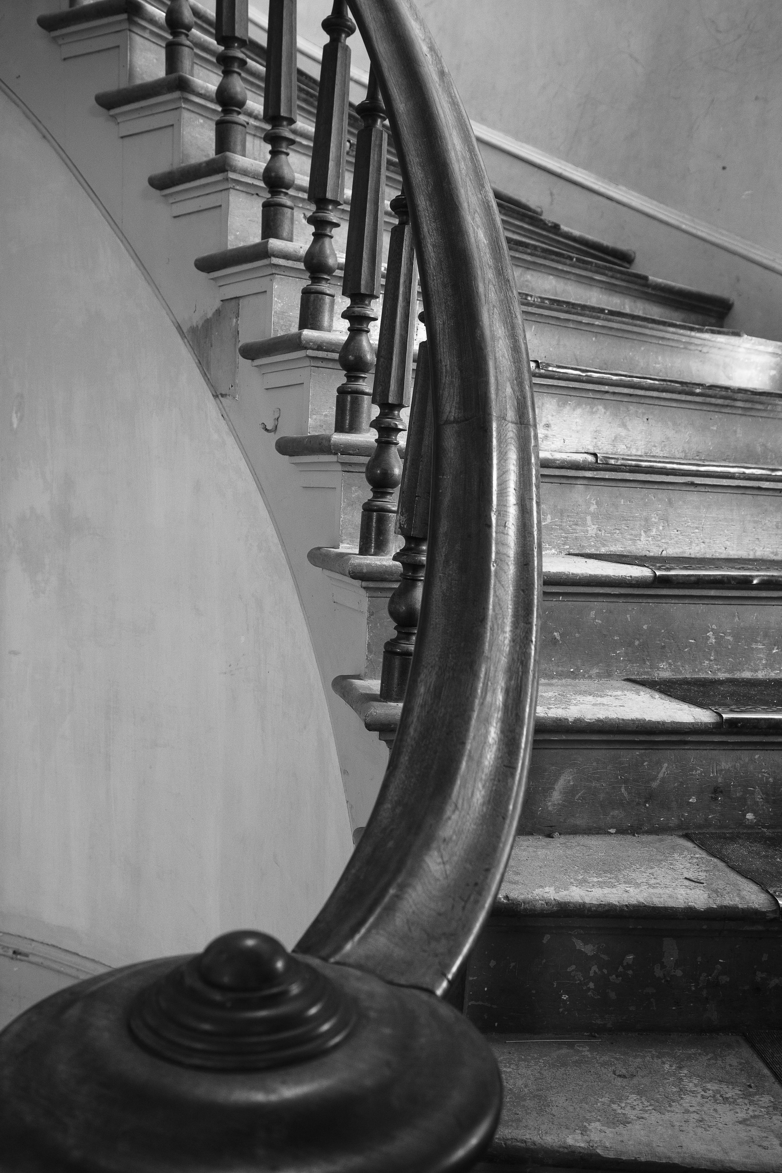 Alice & Jeremiah's Field Trip Portfolio — Mosteller Photos