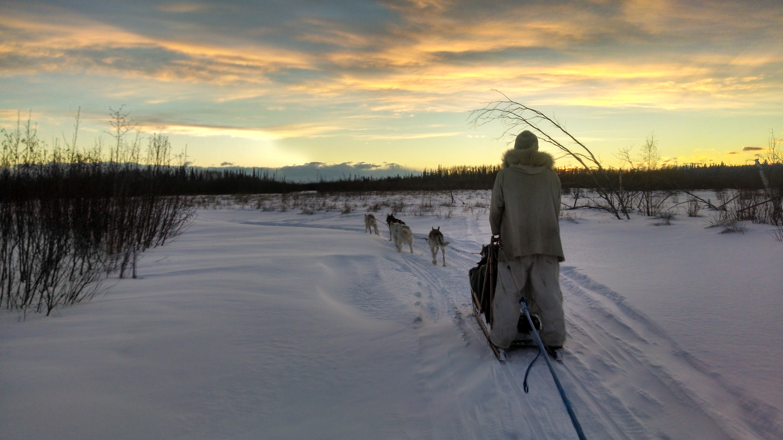 Alaska Homestead Adventures