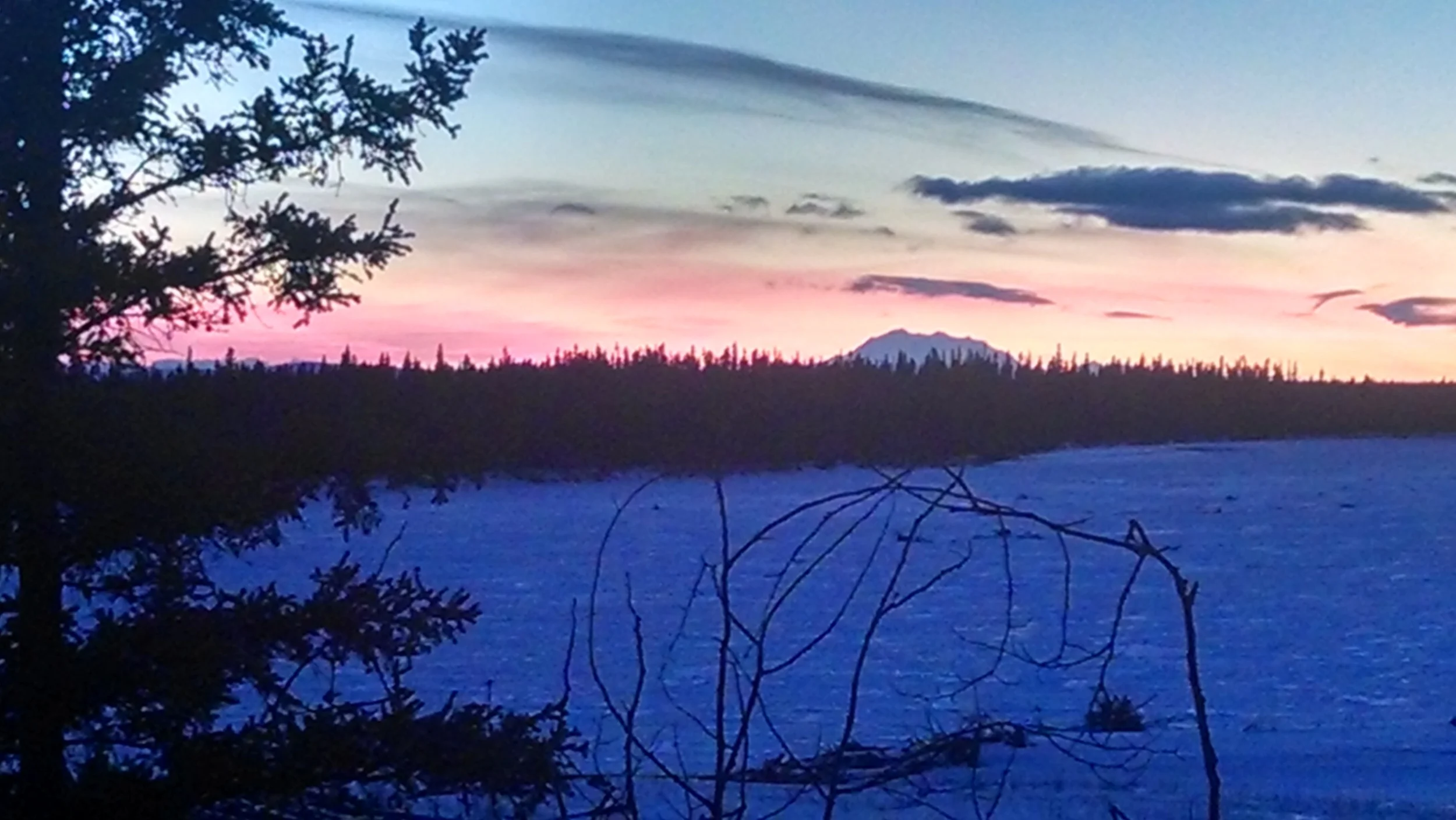 Alaska Homestead Adventures