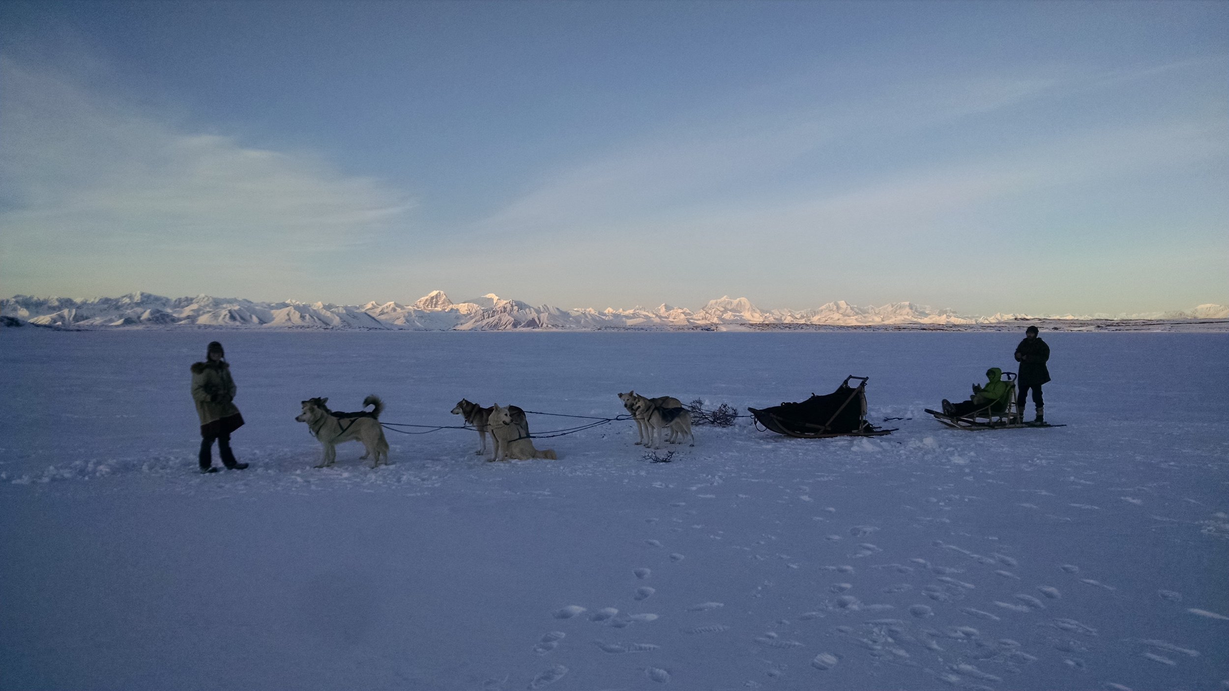 Alaska Homestead Adventures