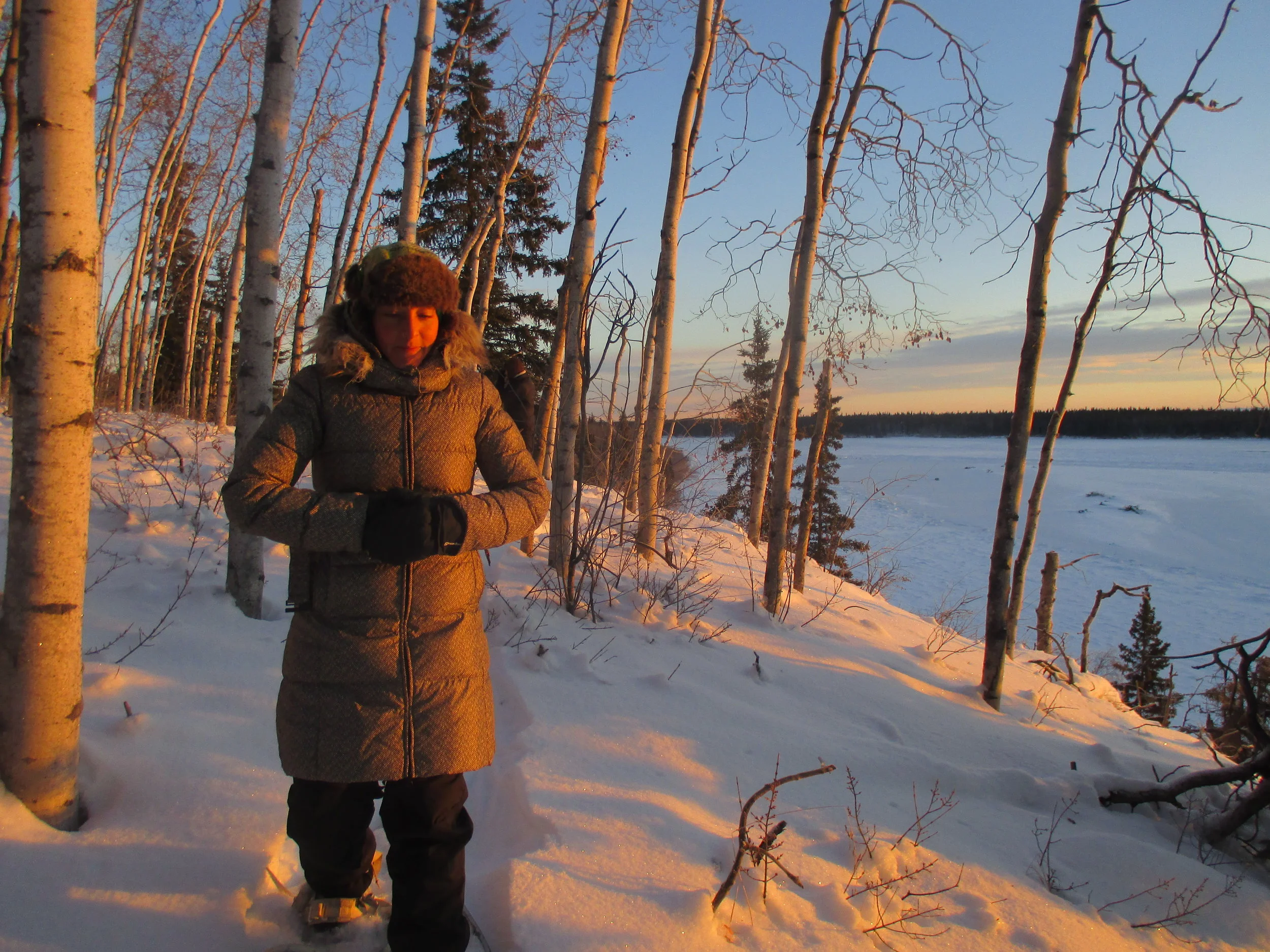 Alaska Homestead Adventures