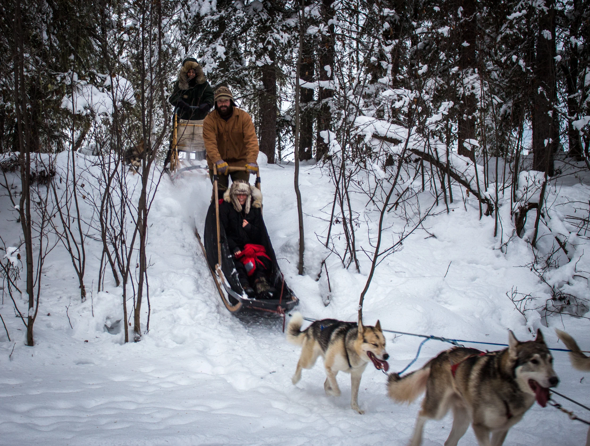 Alaska Homestead Adventures