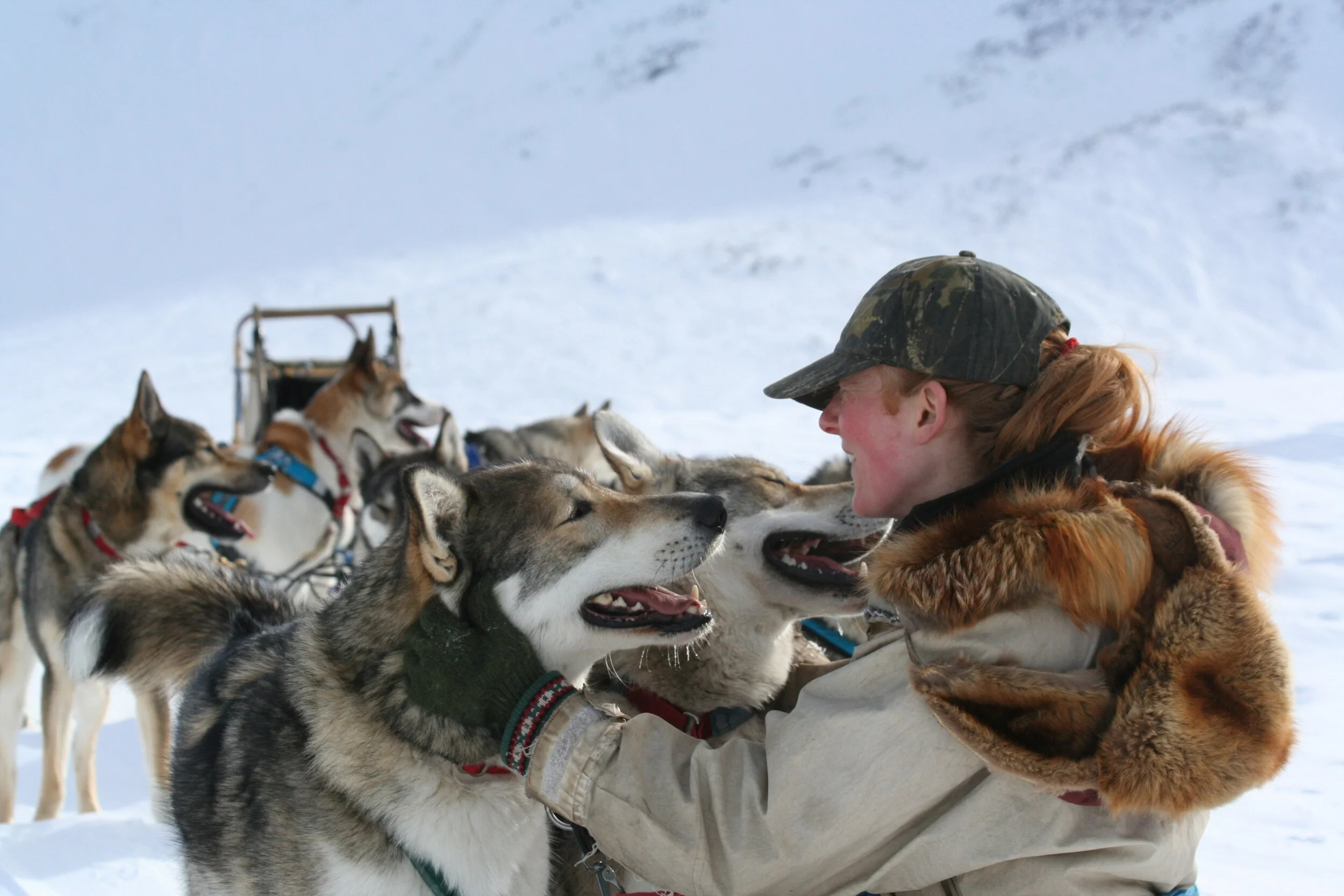 Wheel Dog Sled Build