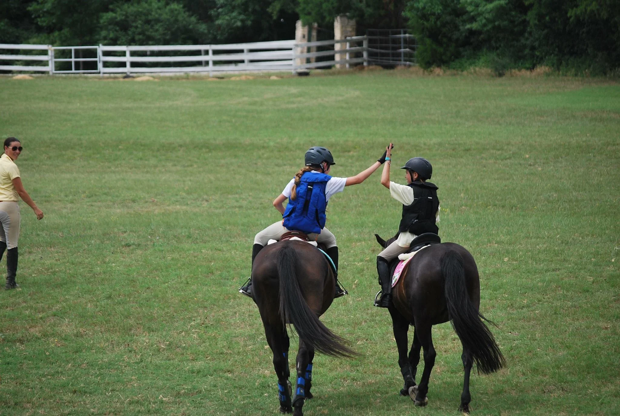 Southern Cross Equestrian