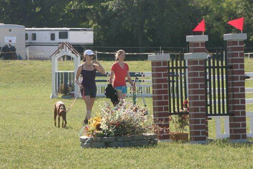 Southern Cross Equestrian