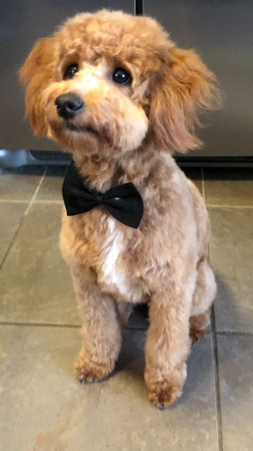 About — Innovative Law Services