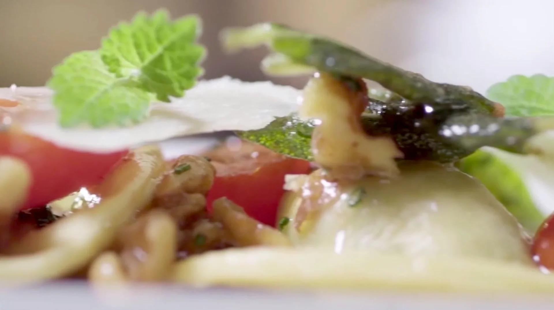 Video Portfolio | Rivando Creative