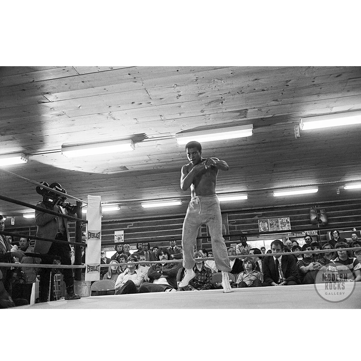 Sport — Buy Signed Limited Edition Prints