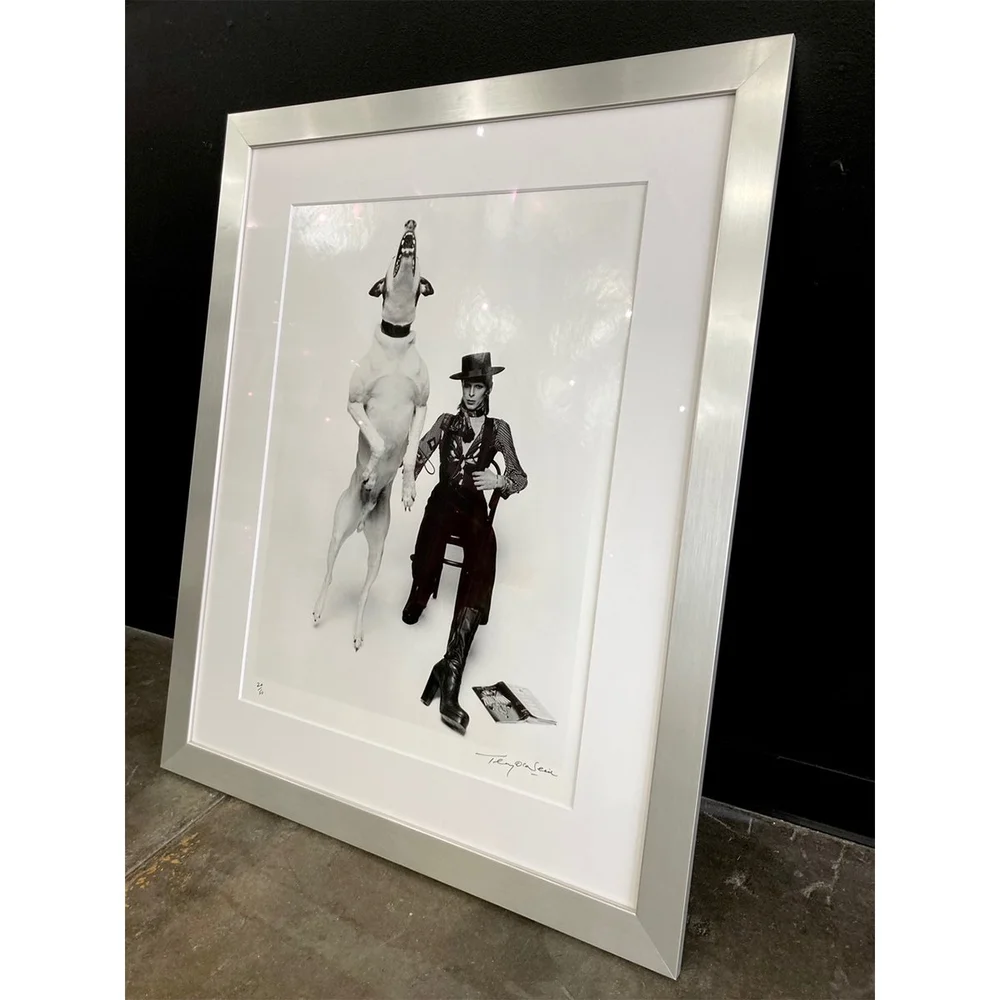 David Bowie Diamond Dogs Photo Shoot