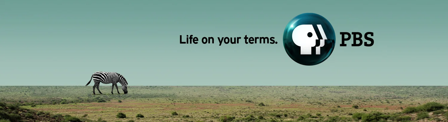 BOARDS — Eric Edwards Portfolio