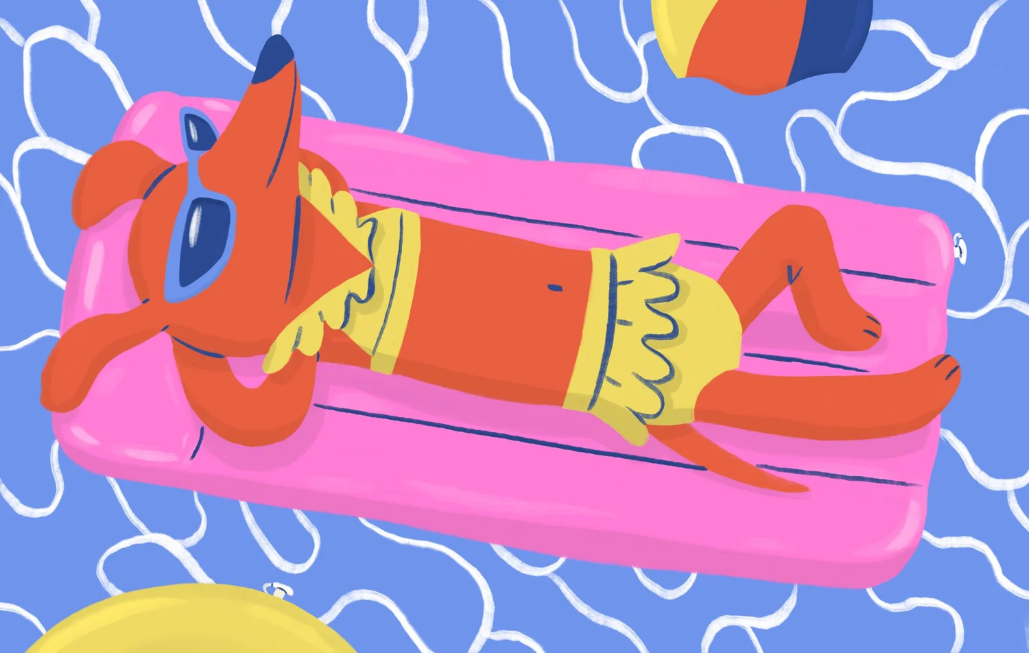 Katie Schaefer Illustration