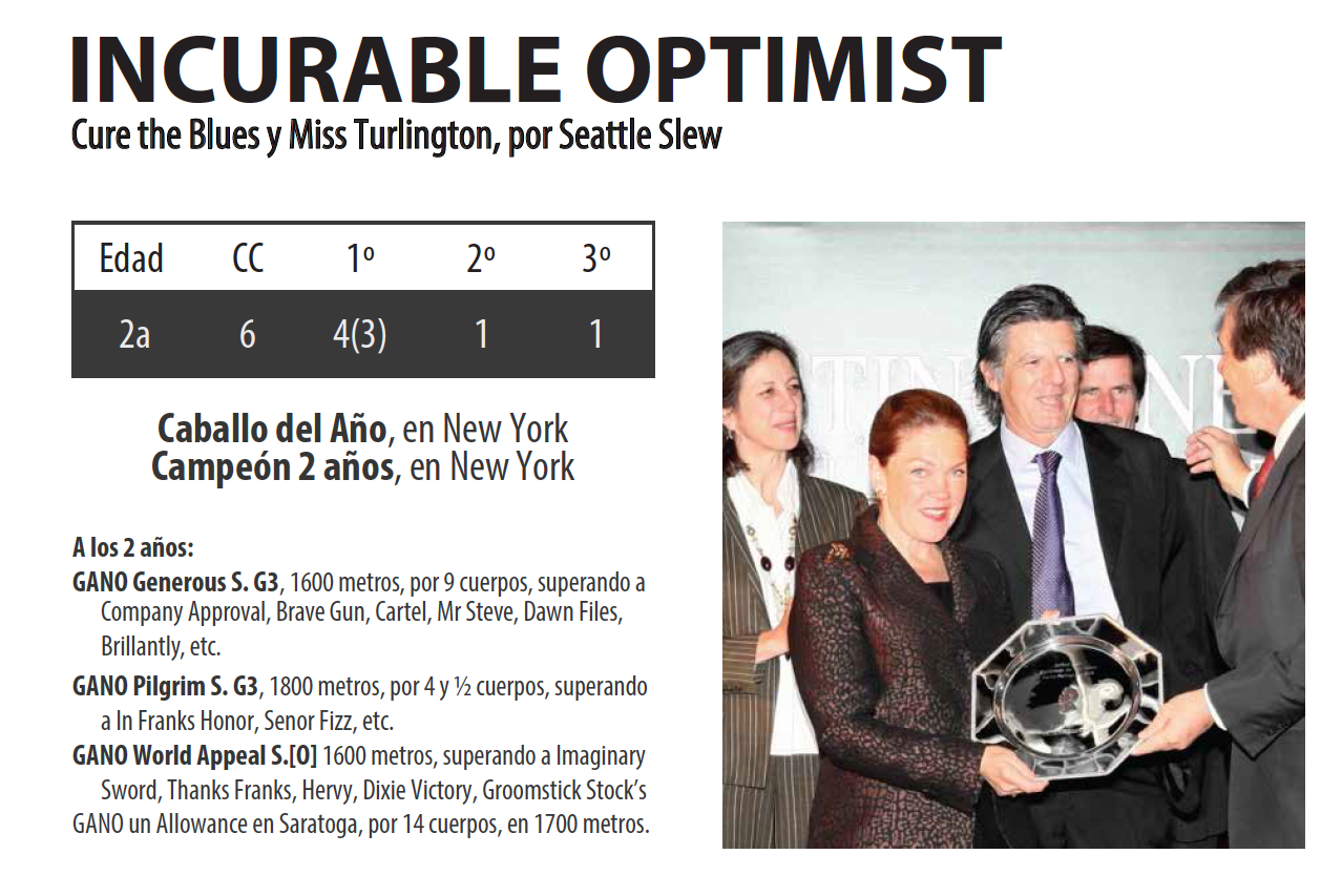 INCURABLE OPTIMIST — Haras El Paraiso