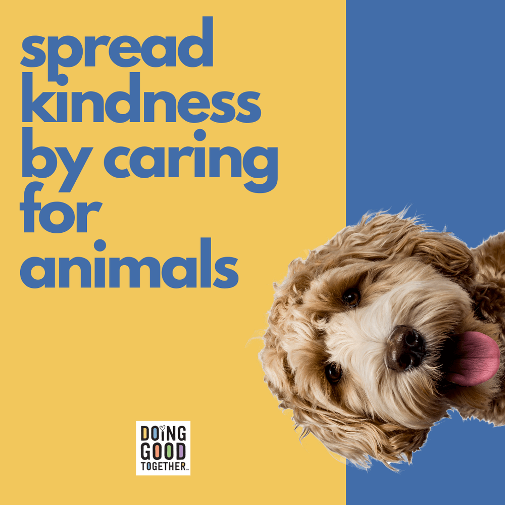 Spread Kindness by Caring for Animals — Doing Good Together™