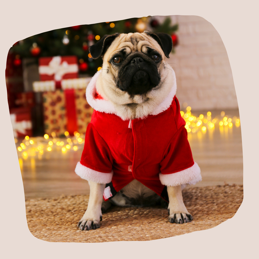 7 Steps to Hosting Your Family's Festival of Giving Holiday Party ...