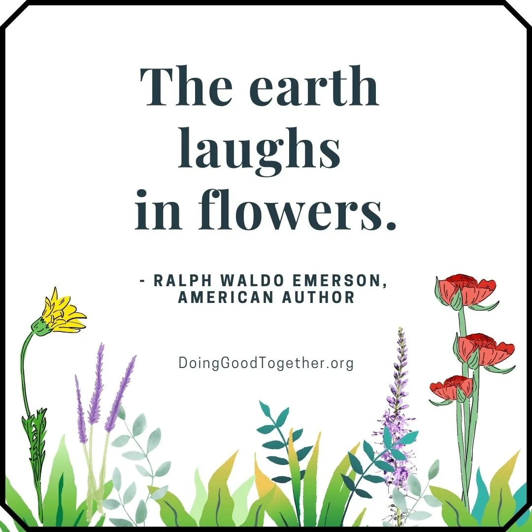 Why So Serious? An Upstander's Guide to the Power of Laughter — Doing ...