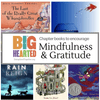 Mindfulness & Gratitude Chapter Books — Doing Good Together™