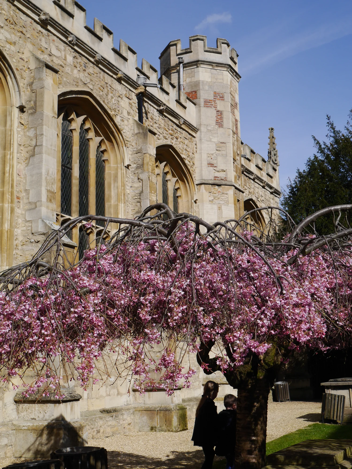 An Afternoon in Cambridge