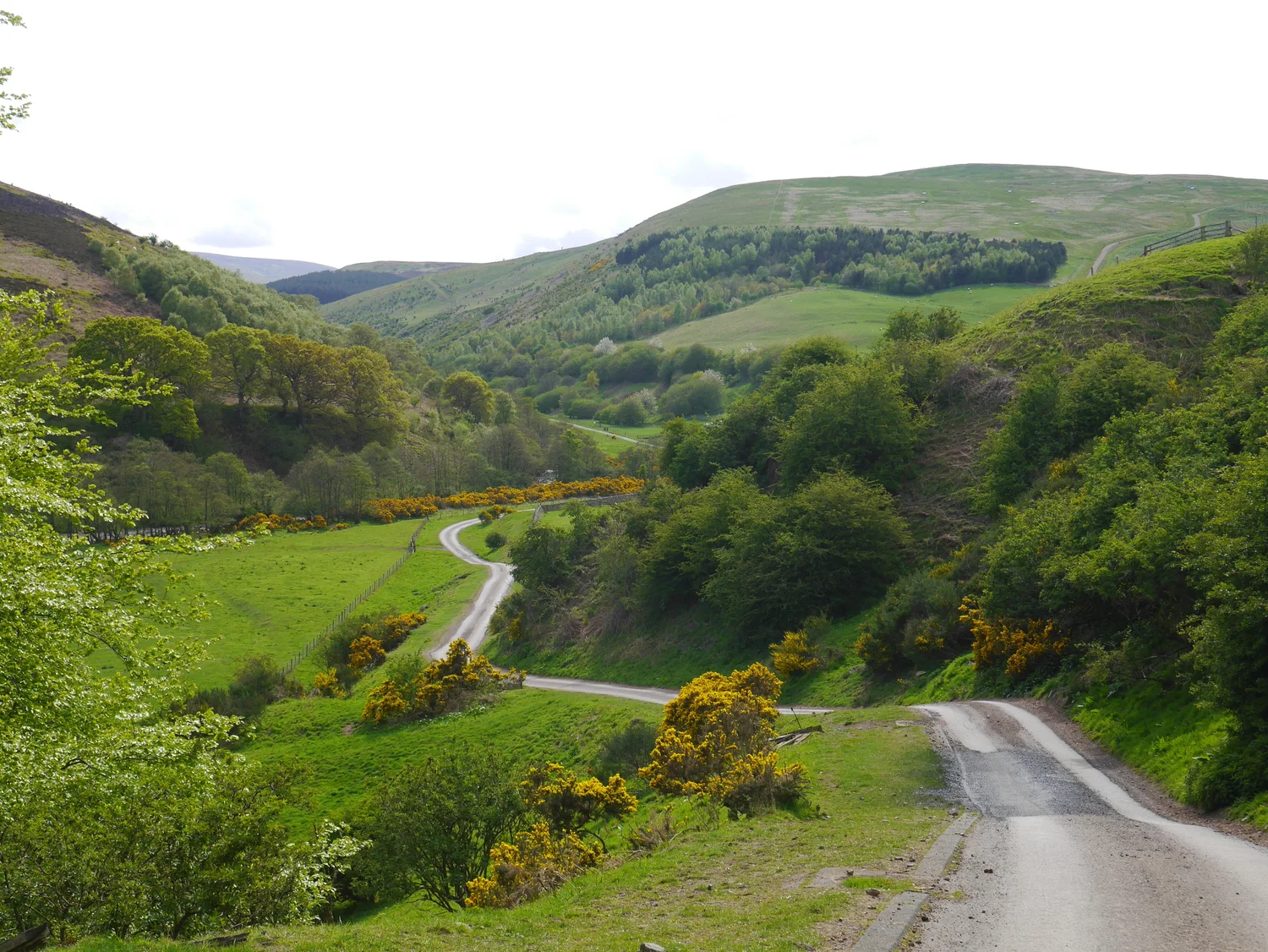 The Cheviot Hills
