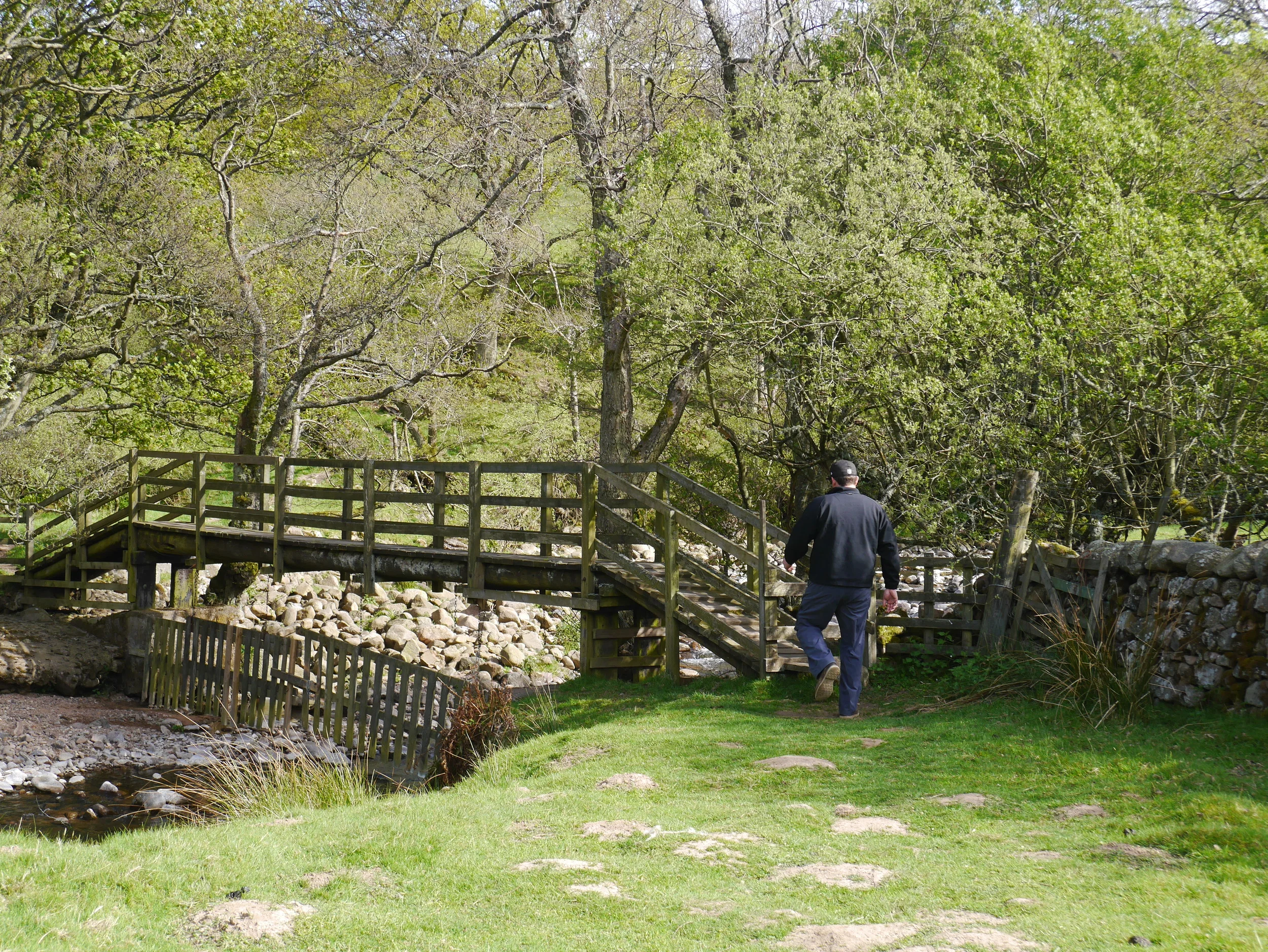 The Cheviot Hills