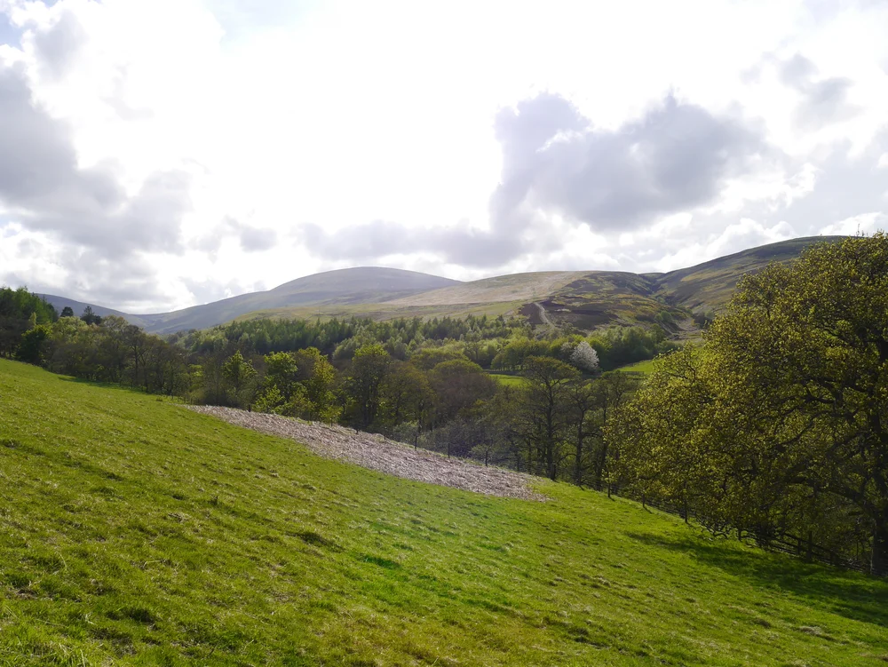 The Cheviot Hills