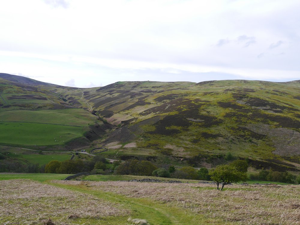 The Cheviot Hills