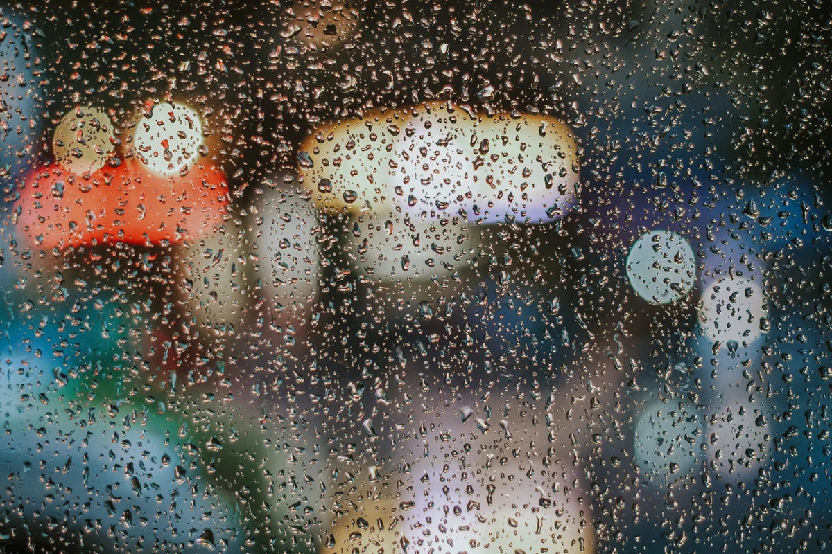 Wedding Tips What Happens If It Rains 