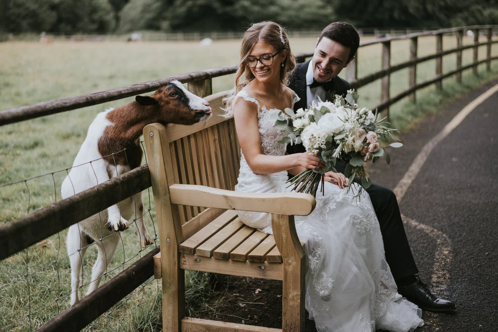 Roe Park Resort Wedding: Catherine and Niall