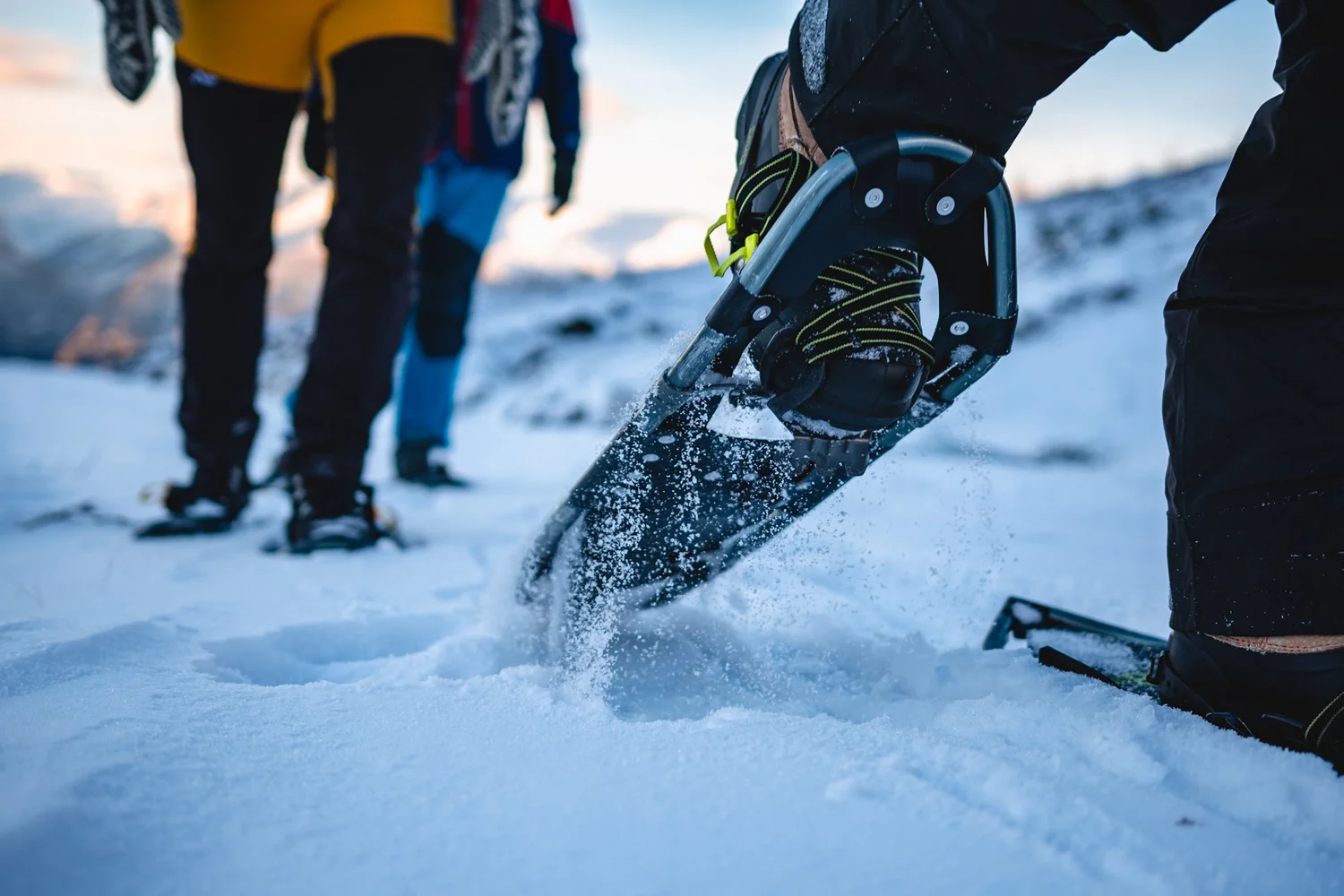 Snowshoe Hike — Fjordsafari