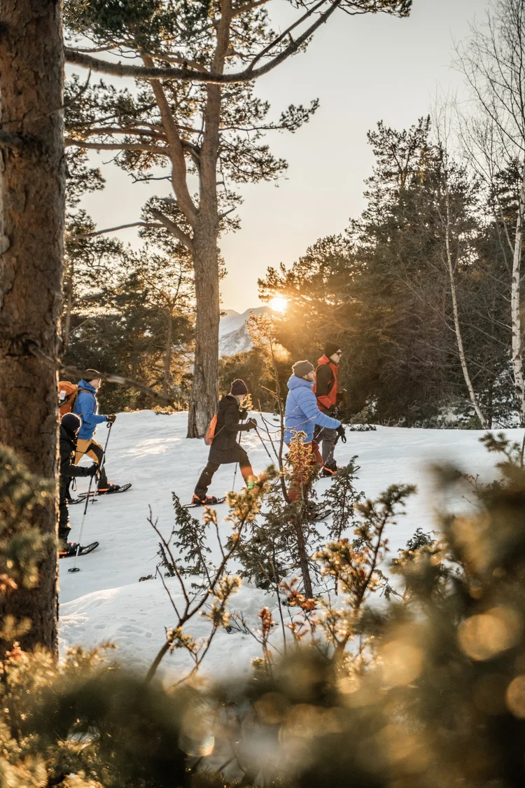Snowshoe Hike – Scenic Winter Trek Above the Fjords — Fjordsafari