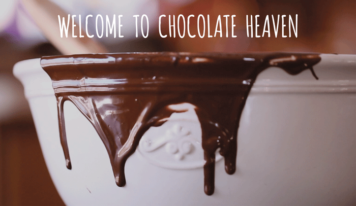 Welcome — El Quetzal de Mindo Chocolate Tour Mindo Ecuador