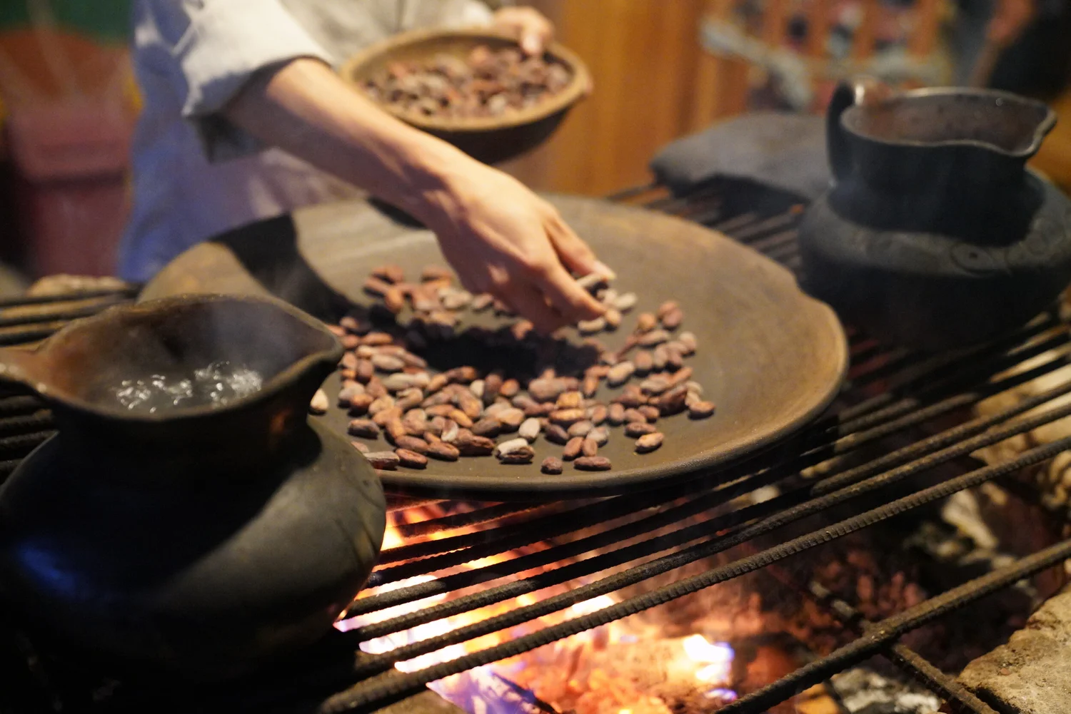 Experiences — El Quetzal de Mindo Chocolate Tour Mindo Ecuador