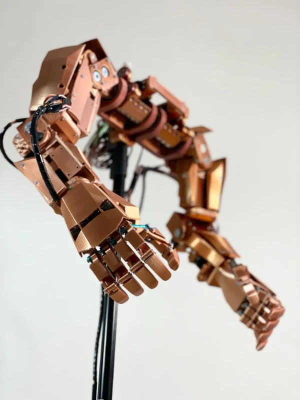 Full Arms Pro — Youbionic