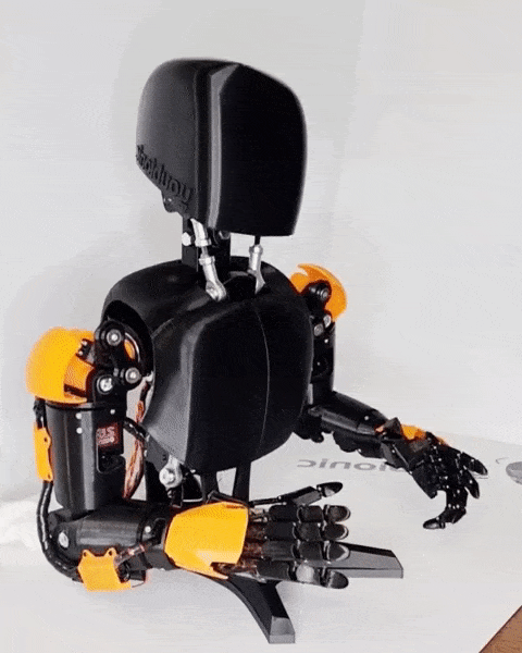 Half Head GPT — Youbionic