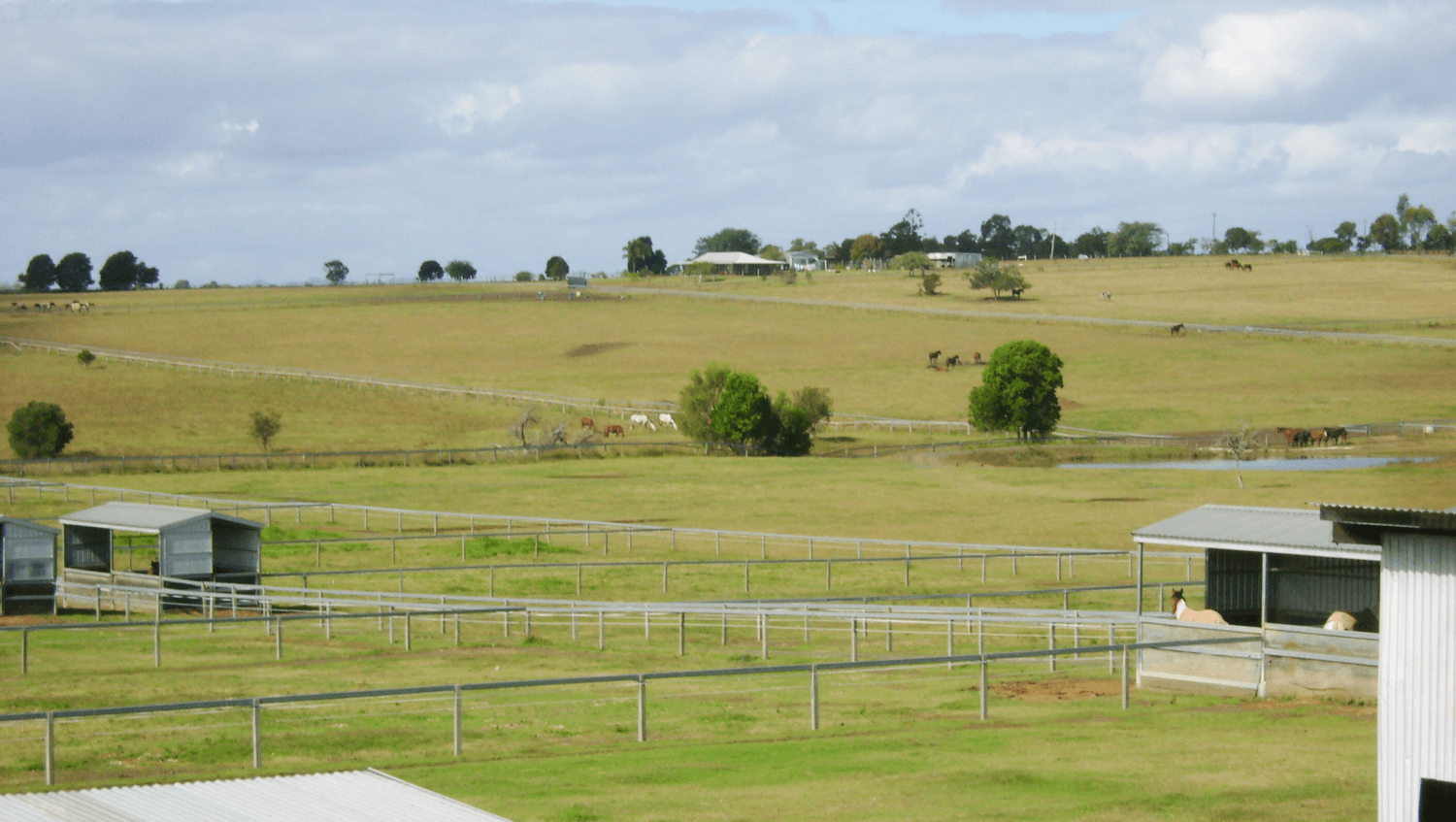 Oakwood Farm - Haigslea, Queensland