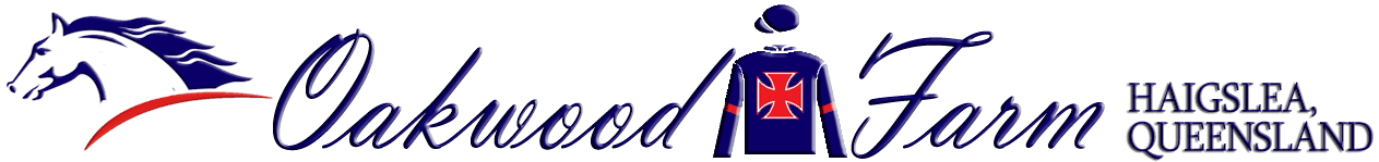 Dracarys *NEW IN 2019* — Oakwood Farm - Haigslea, Queensland