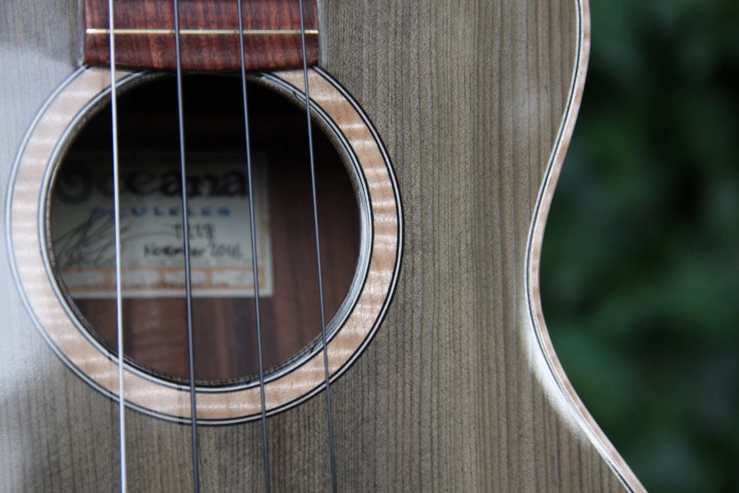 Gallery — Oceana Ukuleles