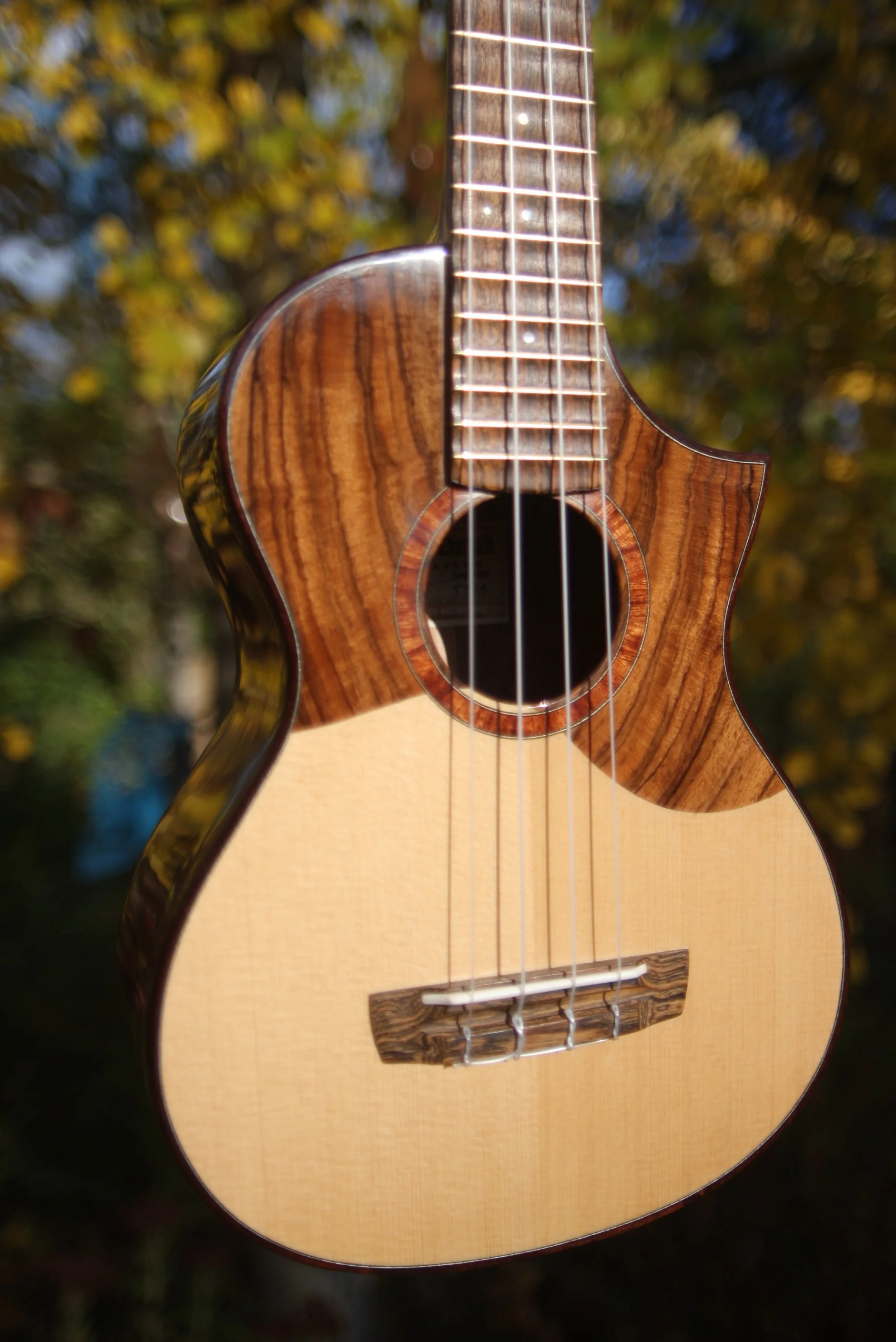 Gallery — Oceana Ukuleles