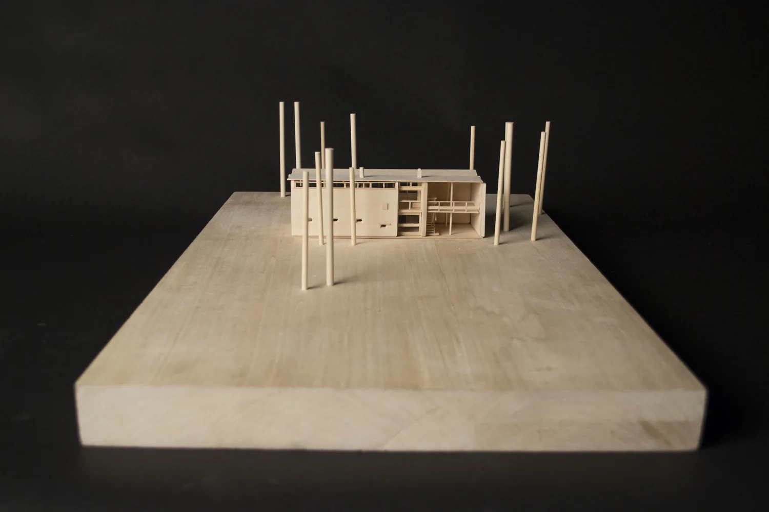 Le Corbusier Precedent Study — Mark J. Terra-Salomão
