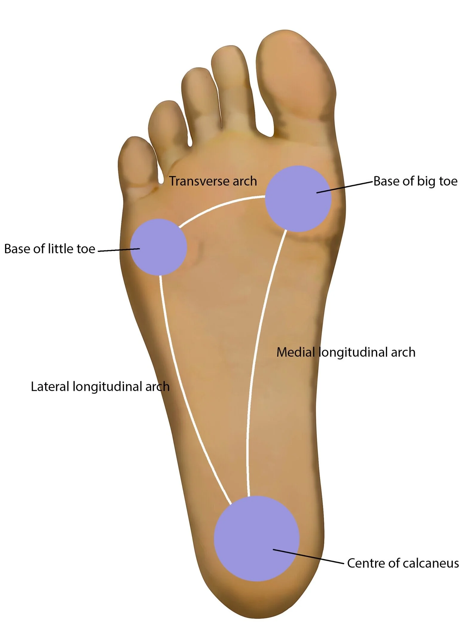 How to work your feet to stay more balanced in common standing postures ...