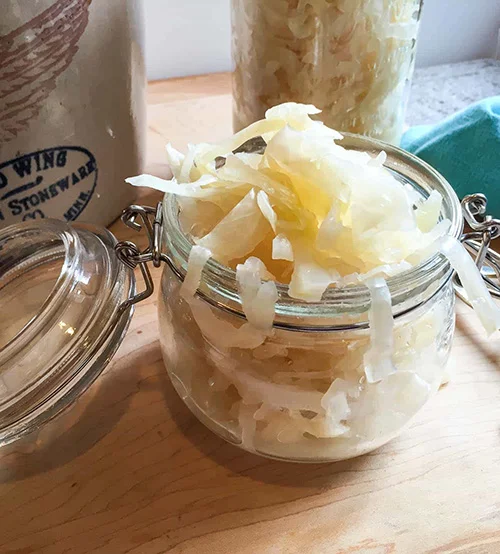 30 Fermented Food and Drink Recipes for Better Gut Health — Just Beet It
