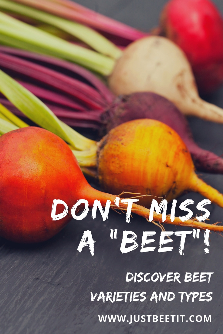 Don't Miss a "Beet": Discover Unique Beet Varieties and Types — Just ...