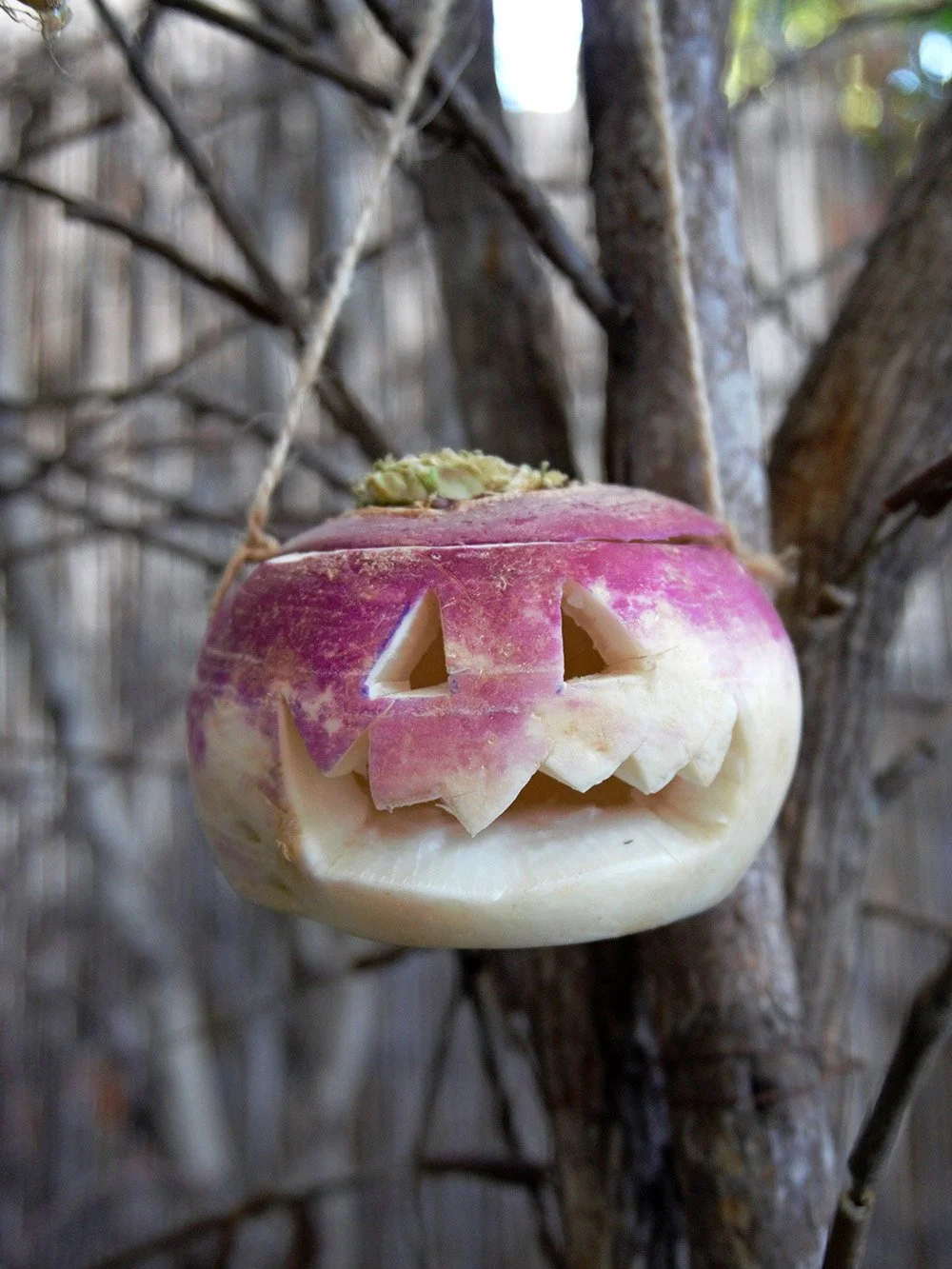 Going Back to the Roots: History of the Turnip Jack-O’-Lantern and Why You Should Carve One This ...