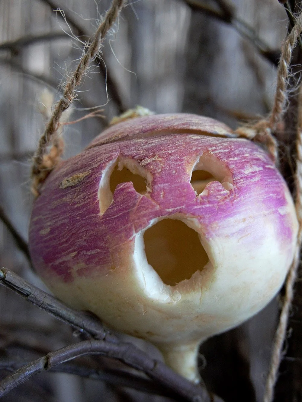 Going Back to the Roots: History of the Turnip Jack-O’-Lantern and Why ...