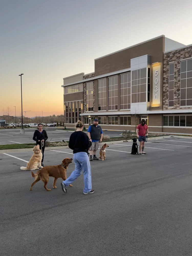 Group Classes — Fresh Canine Training Academy